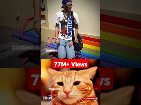 BRO LEFT BTS CHAIR 🐱 #cat #memes #funny