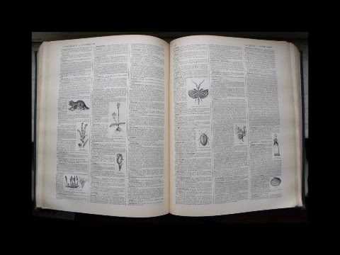 Anthropophagie | Dictionnaire français audio