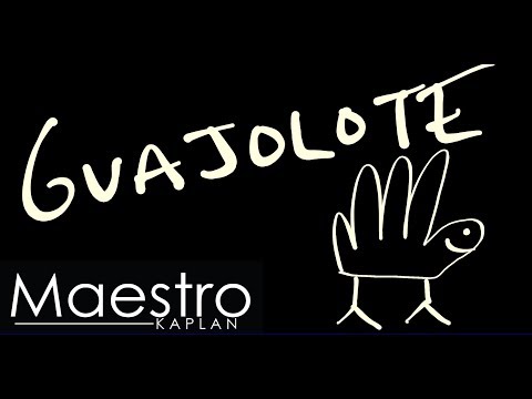 My Favorite Spanish Word: GUAJOLOTE