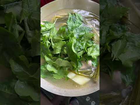 Tinolang manok with papaya #tinolangmanok #papaya #delicious #yummy #shorts #lunch #youtubeshorts #k