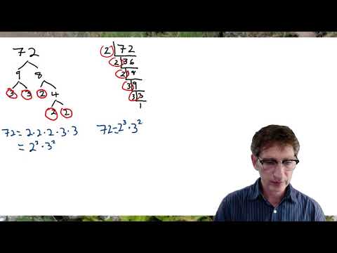 Prime Factors, Prime Factorization, & Greatest Common Factor (GCF): factor trees/ladder diagram/GCF