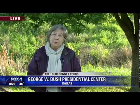 Bush Center offers free bluebonnet tours
