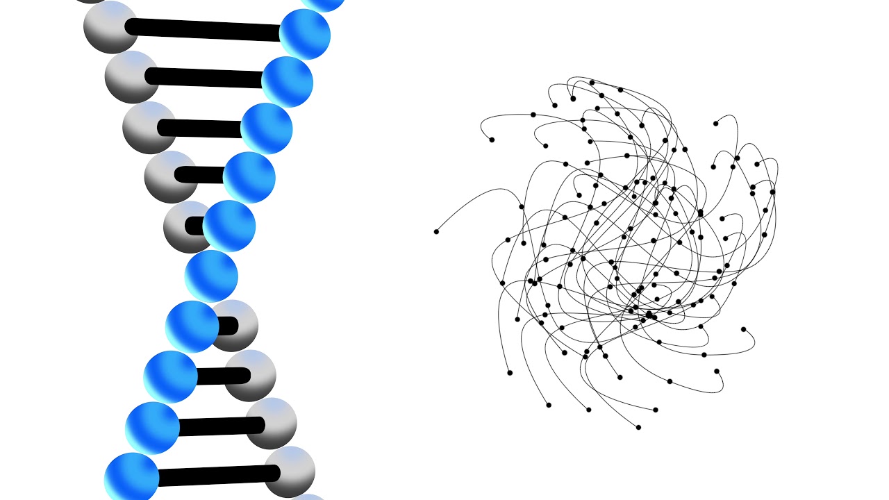IEG4   Complexity made simple