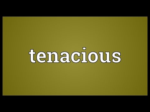 Tenacious Meaning
