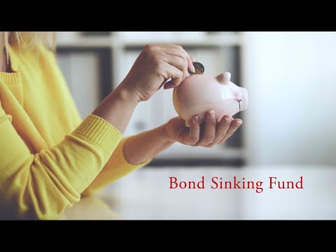Bond Sinking Fund. Payment for bond sinking fund