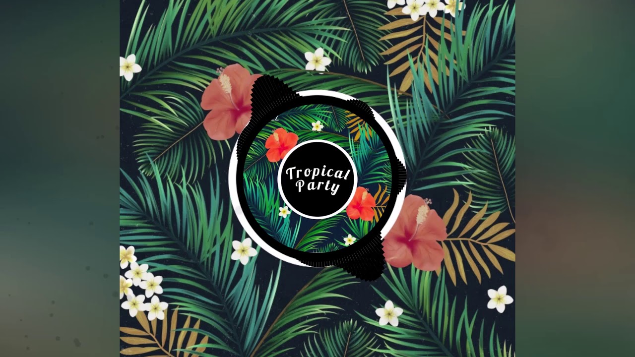 Asonanzz - Tropical Party