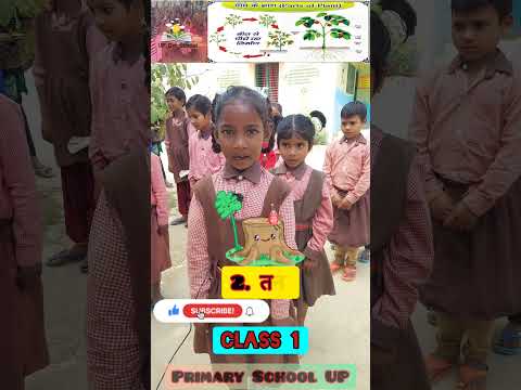 Parts of Plants । 5 Parts of Plants । पेड़ पौधों के मुख्य भाग । #viral #shorts 👩🎓🔥🔥