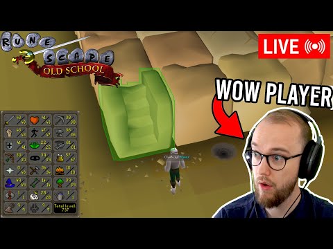 FULL RUNE SET!? TRYING OBOR TODAY - First Time OSRS HC Ironman Day 17