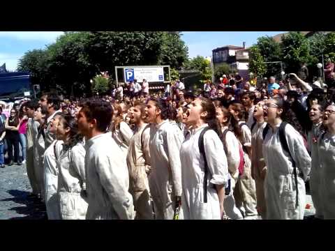 Cortejo Engenharia Biomédica (UMinho) 2013/2014 HD