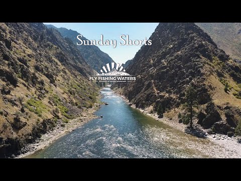 Confluence of the Middle Fork and the Main Stem of the Salmon River in Idaho | Fly Fishing Waters