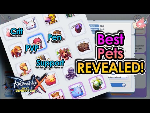 [ROX] BEST Pets for Your Build in ROX Global (CRIT, PEN, Support build) | King Spade