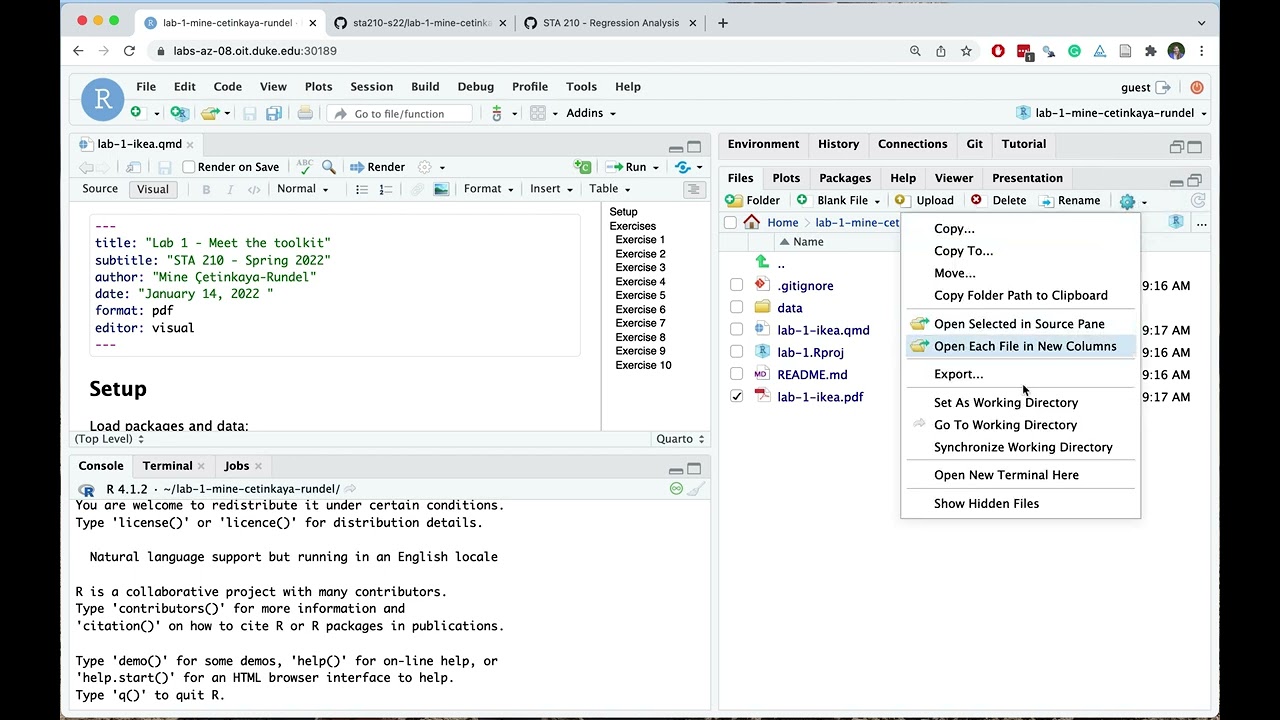 Exporting PDF out of RStudio container