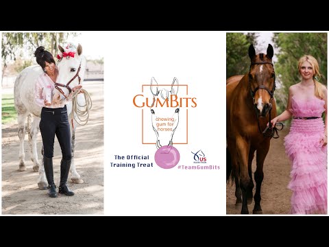 GumBits Chewing Gum For Horses - US Equestrian Official Training Treat USEF Bobby Meyerhoff Eventer