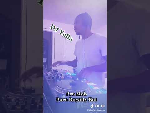 She Popping Bottles by Big Skunk.. Mashup by DJ YELLA MISSISSIPPI FLEET DJS #shorts #dj #fleetdjs