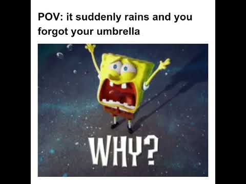 Funny and Relatable SpongeBob Memes #shorts