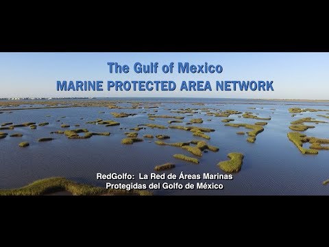 The Gulf of Mexico Marine Protected Area Network - RedGolfo