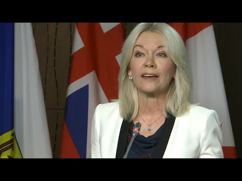 Interim Conservative leader Candice Bergen on affordability issues, airport delays – June 7, 2022