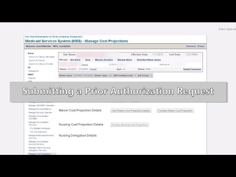 Prior Authorization Walkthrough