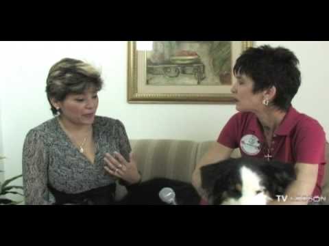 How Do Therapy Dogs Effect Lives