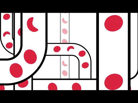 Why Bio-Rad is the leader in hemoglobinopathy testing.