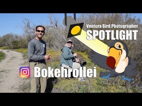 Ventura Photographer Spotlight Bird Photography Tips at Snoopy Pond Estuary