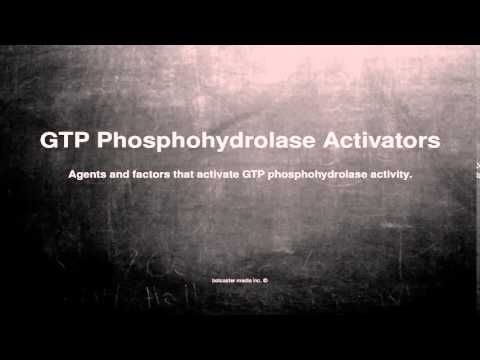 Medical vocabulary: What does GTP Phosphohydrolase Activators mean