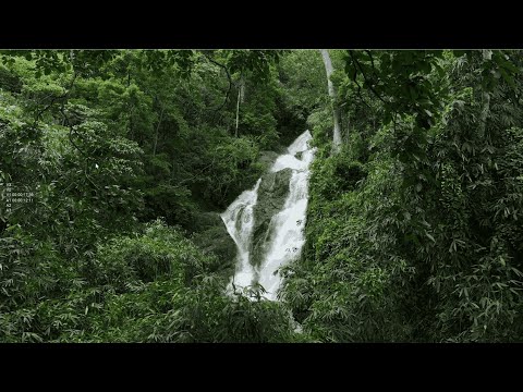 Beauty-of-konni waterfalls thekkuthode