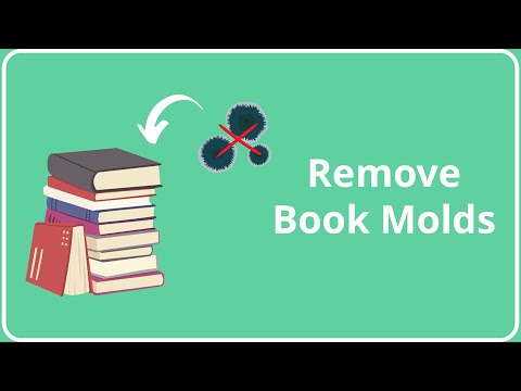 A Guide to Removing Mould from Books in 6 Simple Steps | homify