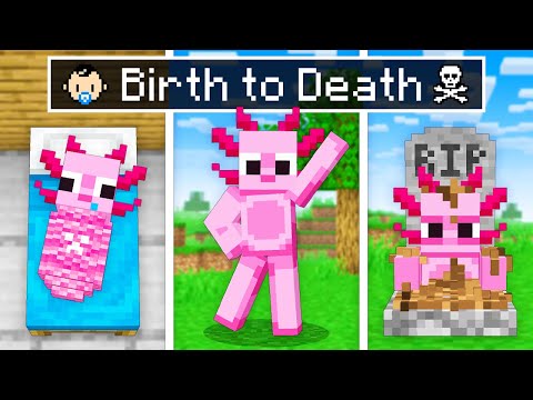 BIRTH To DEATH Of AXY In Minecraft!