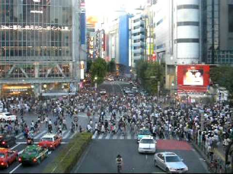 Climate Watch: Pedestrian Traffic Near Shibuya Station