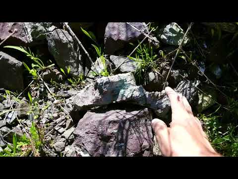 UPPER MICHIGAN COPPER JUST LAYING ON THE GROUND! | Jason Asselin