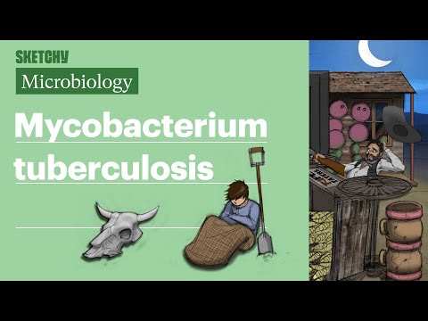 Mycobacterium Tuberculosis (Microbiology) | USMLE Step 1 | Sketchy Medical
