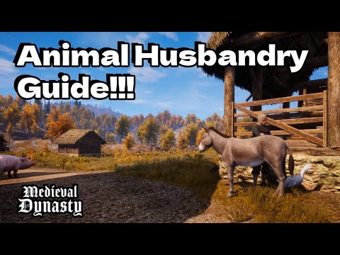 Animal Husbandry in Medieval Dynasty: Chickens, Pigs, Donkeys & Geese Guide!"