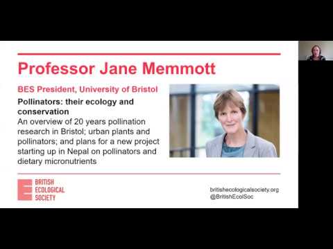 Ecology Live with Jane Memmott - Pollinators: their ecology and conservation