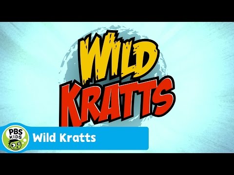 Wild kratts x male reader - Mystery of the Weird looking Walrus - Wattpad