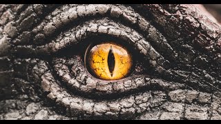 Jurassic Park Streaming