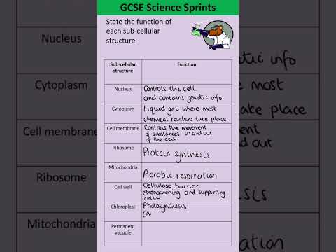 GCSE Science Sprints 1 - Sub-cellular structures #gcsebiology #gcsescience #revision