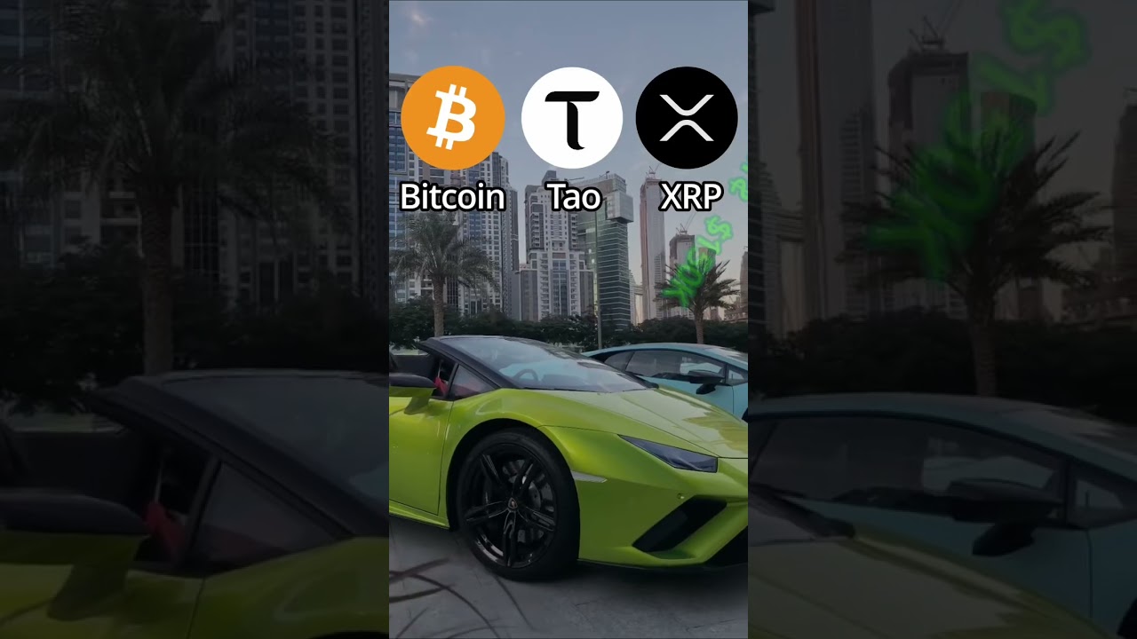 Bittensor Tao could see the biggest gains of any crypto next bull run. #bittensor #tao #bitcoin #xrp