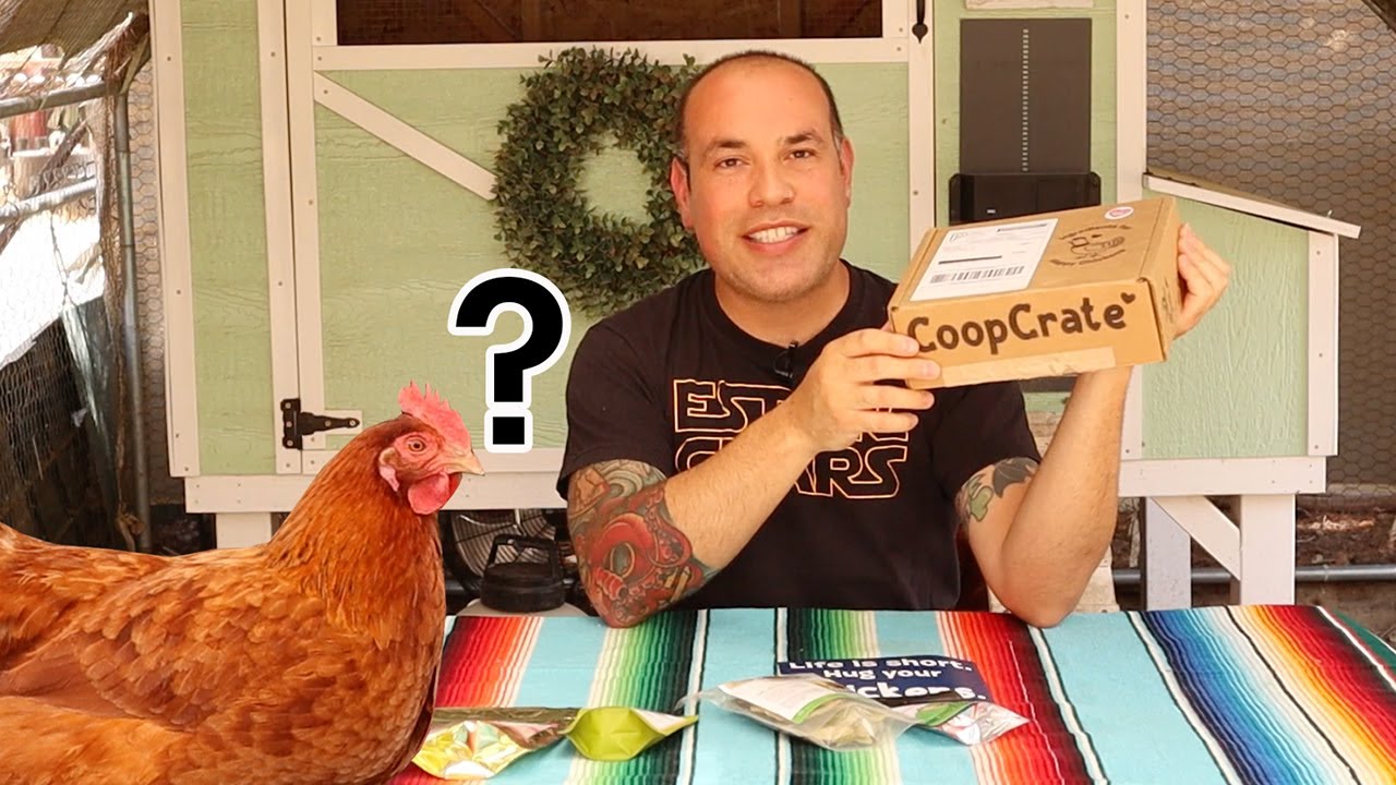 Coop Crate - Unboxing Monthly Backyard Chicken Owners Gift Box