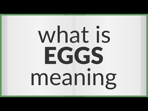 Eggs | meaning of Eggs