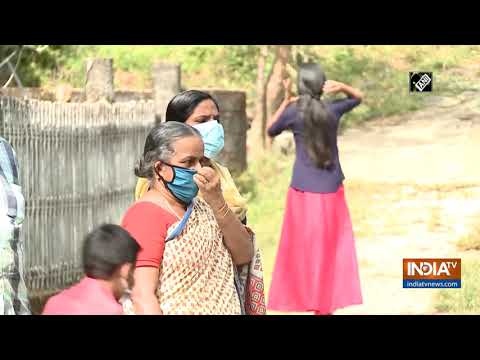 Wayanad residents seek solution for 'monkey menace'