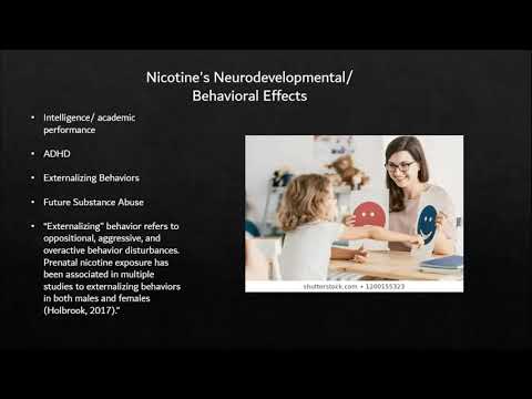 Teratogen Effects on Fetus