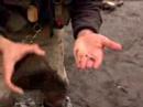 Tight Lines Fly Fishing Lesson-Learning What Trout Eat