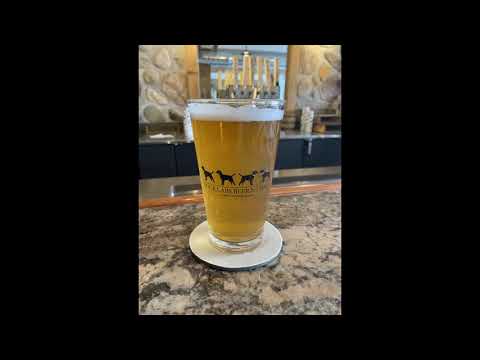 Four Labs Beer & Cider, Petoskey MI