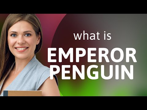 Emperor penguin — what is EMPEROR PENGUIN definition
