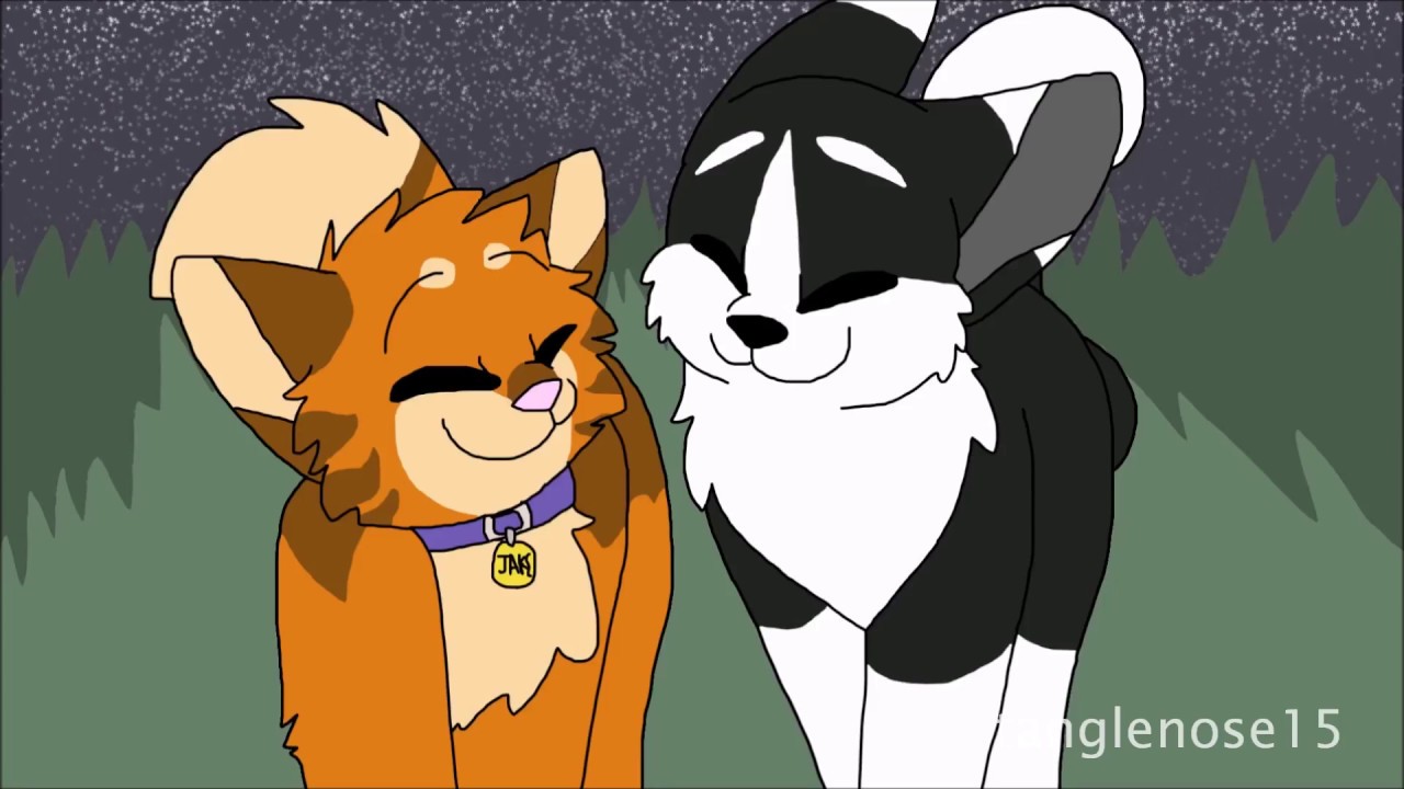 Become the Wind [Warriors Couples PMV MAP] Completed