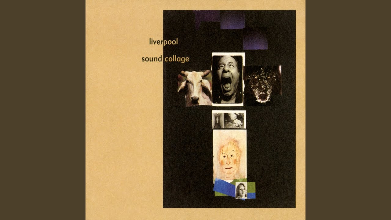 Plastic Beetle – song facts, recording info and more! | The Beatles Bible