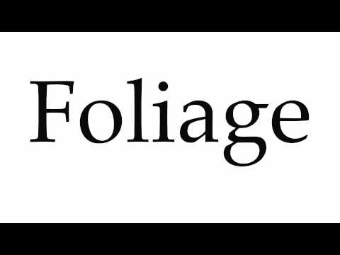 How to Pronounce Foliage