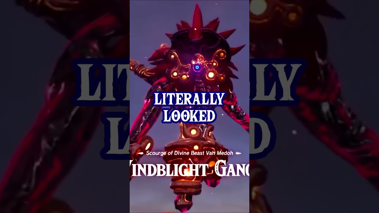 Revali's Fight was UNFAIR!  #zelda #nintendo #botw #gaming
