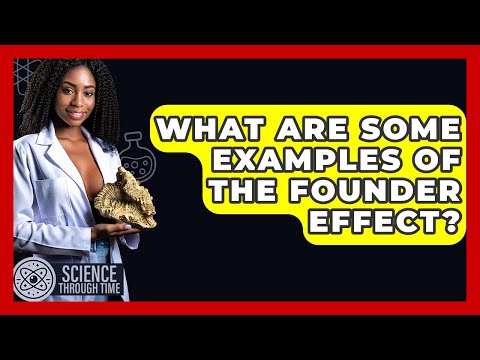 What Are Some Examples Of The Founder Effect? - Science Through Time